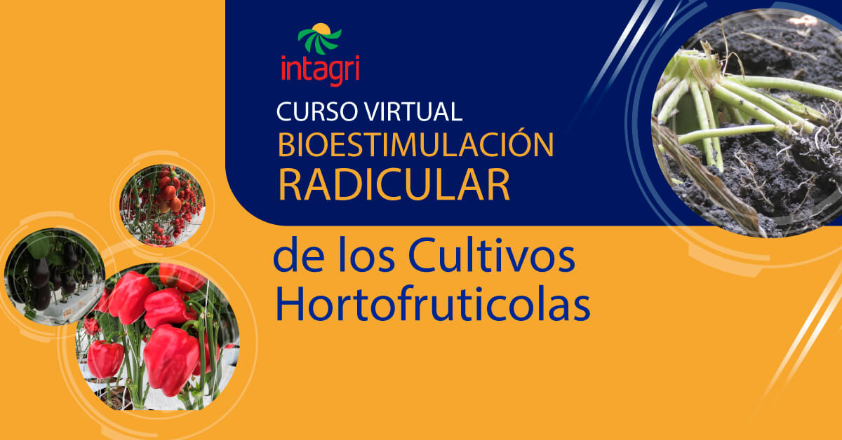 Curso Virtual: Bioestimulación Radicular de los Cultivos Hortofruticolas - Inicio | Intagri S.C.